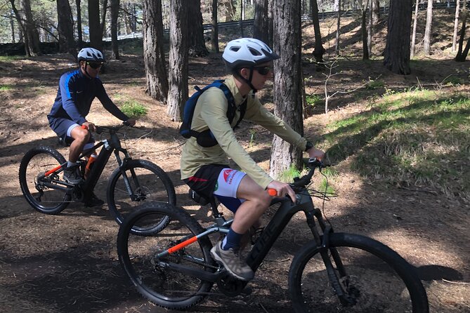 Half Day Tour to discover Etna by E-Mtb - The Sum Up: Who Will Love This Tour?