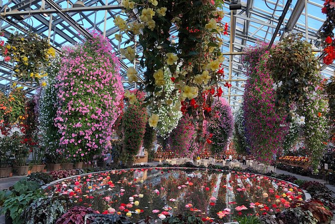 Half-Day Tour to Enjoy Japans Largest Illumination and Outlet - Capturing the Autumnal Beauty