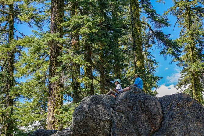 Half Day Tour to Faery Waterfalls, Castle Lake and Mount Shasta - An In-Depth Look at the Tour Experience