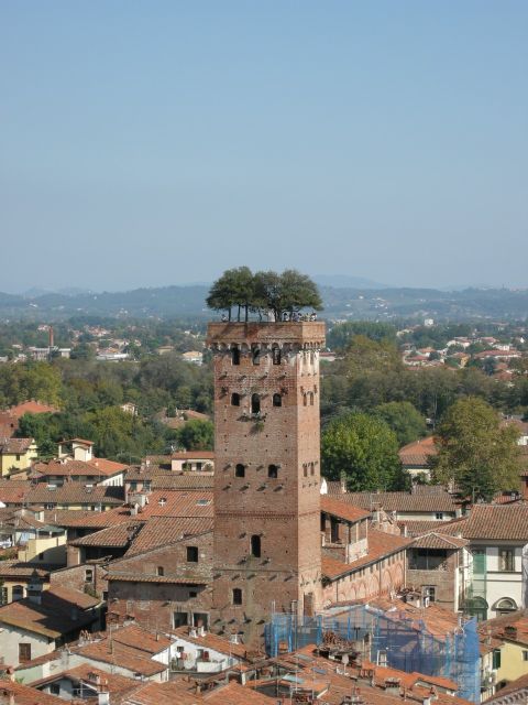 Half-Day Tour to Lucca From Florence - Who Would Love This Tour?