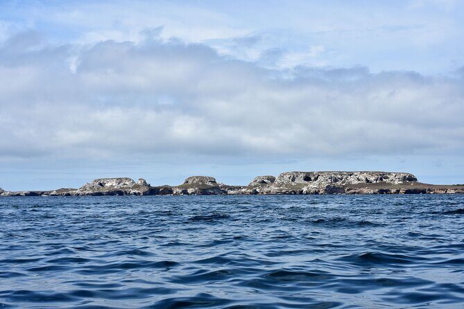 Half-Day Tour to Marietas Islands, Playa Nopalera by Speedboat - Food and Drinks: The Culinary Bonus