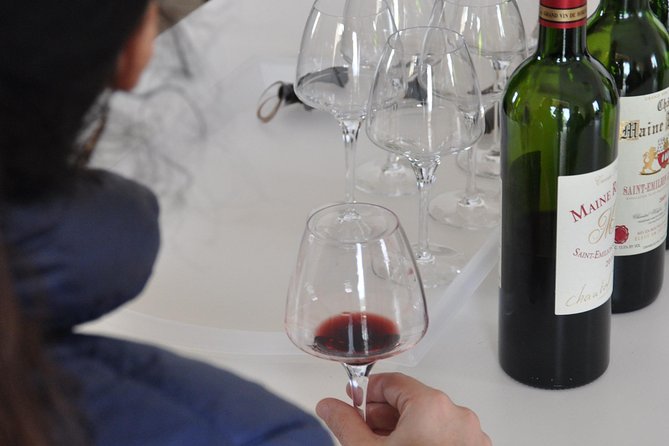 Half-Day Tour to Saint Emilion, a UNESCO Site, With a Private Guide - Tour Logistics and What to Expect