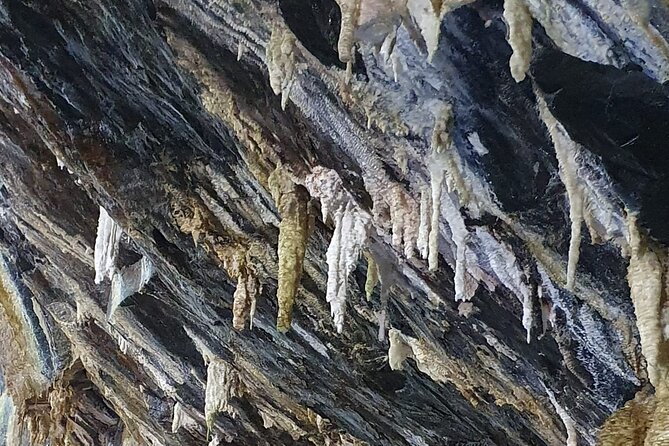 Half Day Tour to the Caves - Booking Information and Cancellation Policy