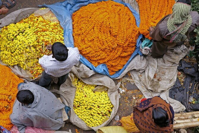 Half Day Tour to the Flower Market and Howrah Bridge in Kolkata - Introduction: What’s this tour all about?