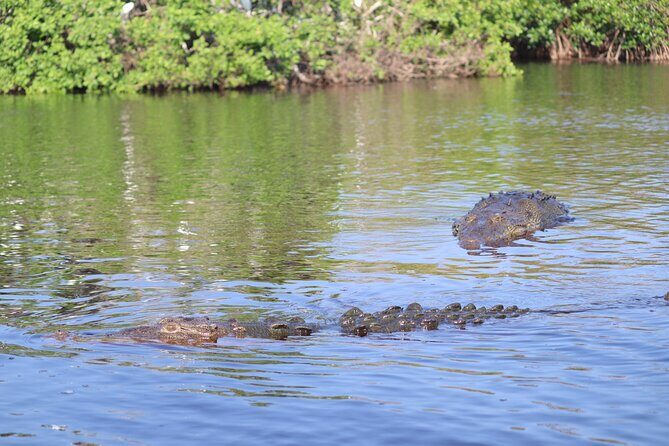 Half-Day Tour to Ventanilla, Mazunte, Zipolite and Puerto Angel - Who Would Love This Tour?