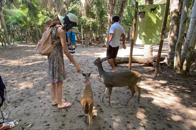 Half-Day Tour to Ventanilla, Mazunte, Zipolite and Puerto Angel - Final Thoughts