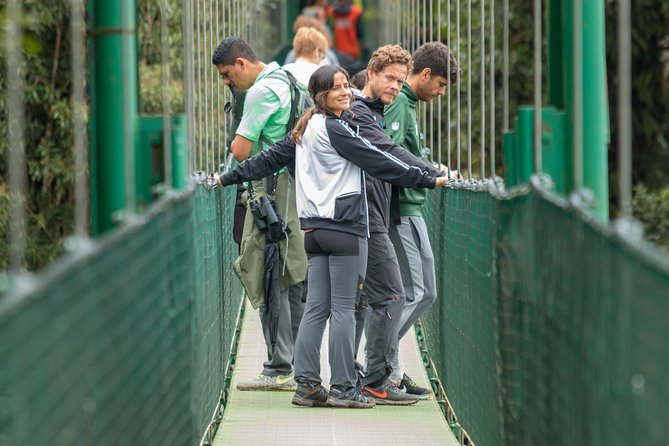 Half-Day Tour With Hanging Bridges and La Fortuna Waterfall - Tour Duration and Itinerary