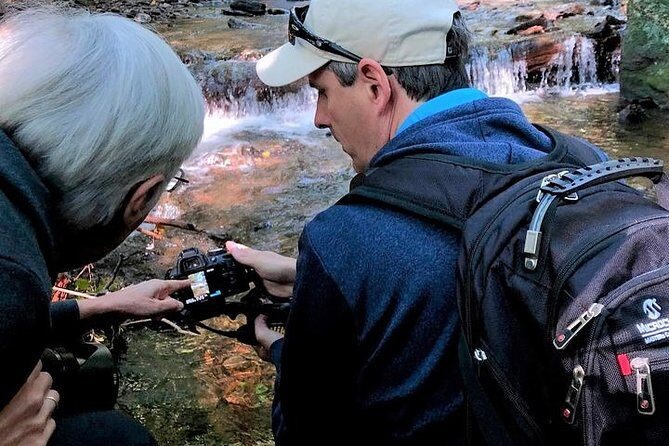Half-Day Tour With Instruction in Vistas & Waterfall Photography - Introduction