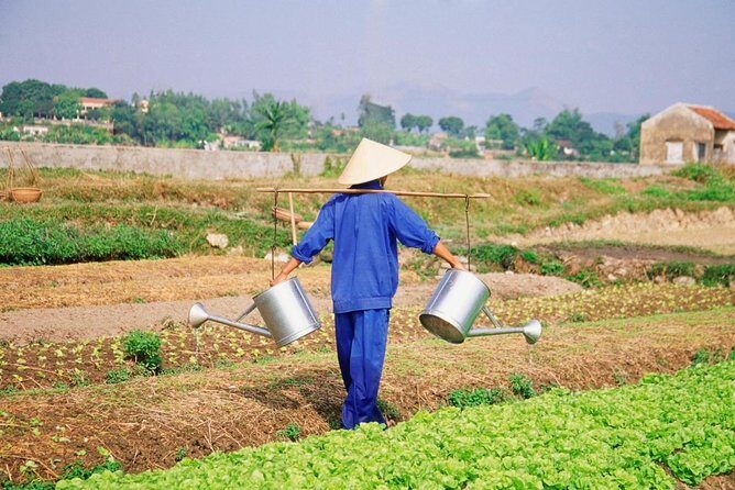 Half day Tra Nhieu and Tra Que vegetable village tour from Hoi An - Key Points