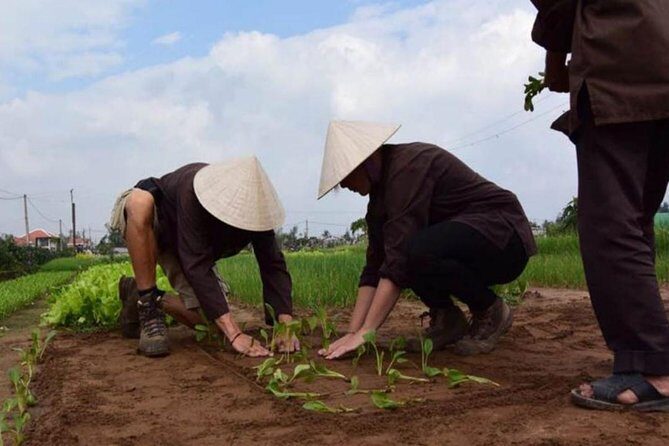 Half -Day Tra Que Herbal Village Tour from Hoi An - Who Will Love This Tour?
