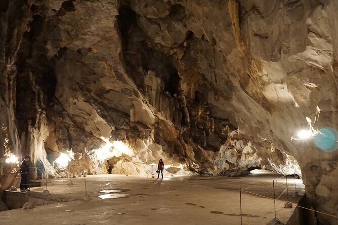 Half Day Trekking Cat Ba National Park - The Sum Up