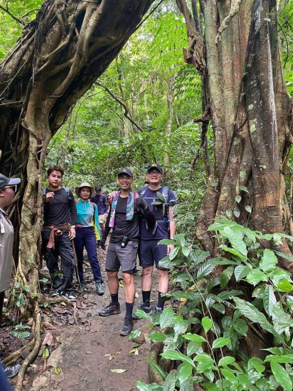 Half Day Trekking Cat Ba National Park - Key Points