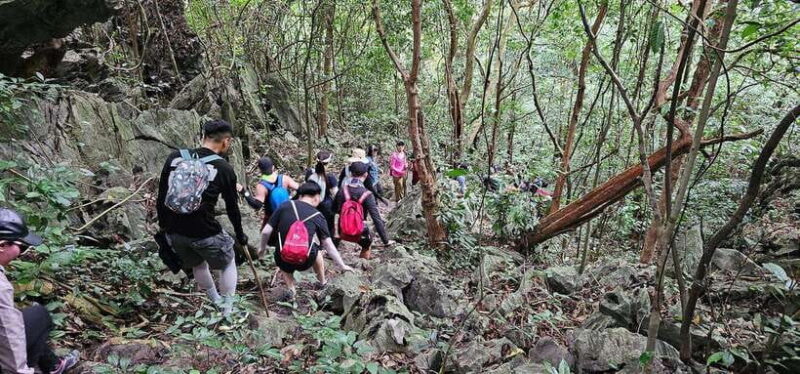 Half Day Trekking Cat Ba National Park - Who Will Love This Tour?