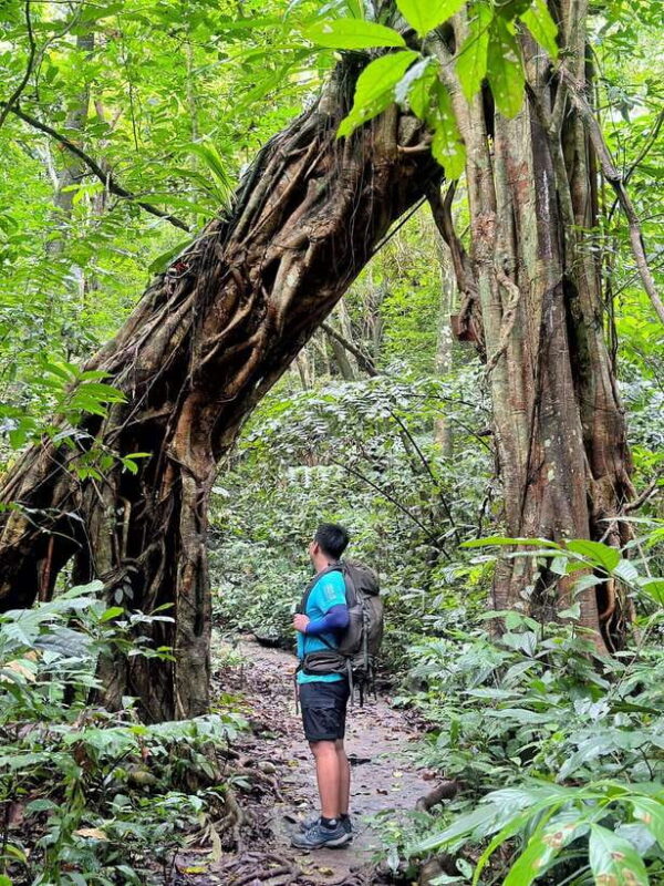 Half Day Trekking Cat Ba National Park - FAQs