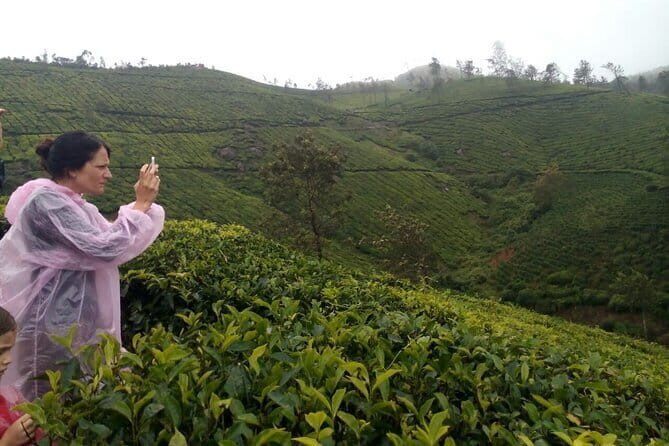 Half Day Trekking In Munnar - An In-Depth Review of the Munnar Trekking Experience