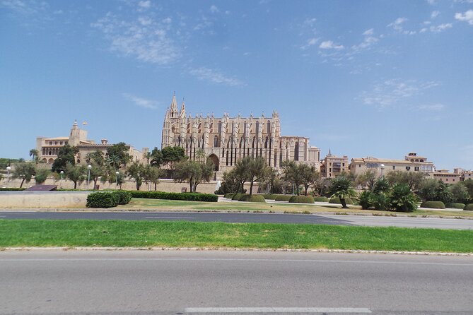 Half Day Trike Tour from Paguera - Final Thoughts: Is the Mallorca Trike Tour Worth It?