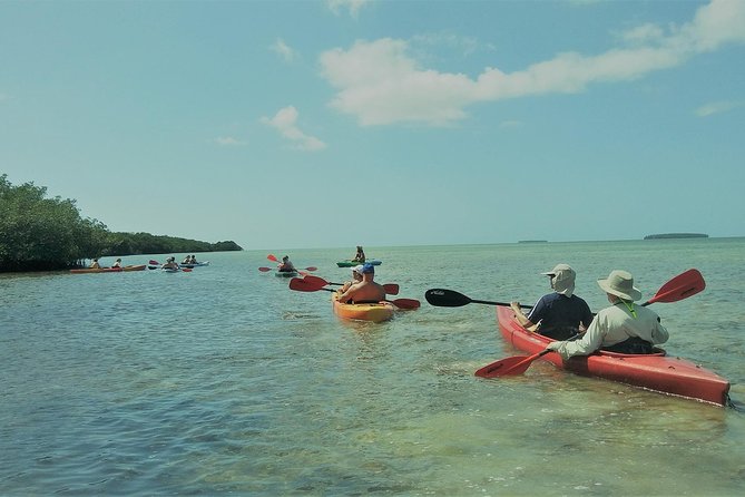 Half-Day Trip from Key West with Kayaking, Snorkeling & Sunset - Who Should Consider This Tour?