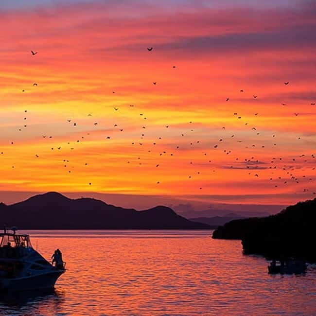 Half Day Trip: Kelor  Manjarite  Kalong Sunset - Snorkeling at Manjarite: A Calm Underwater Escape