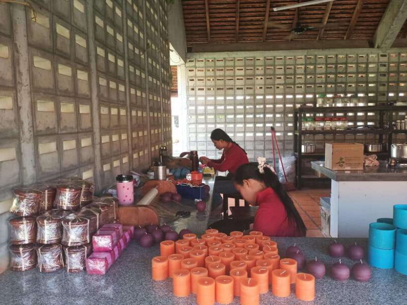 Half Day Trip: Silk Farm, Satcha, and Senteur d'Angkor Tour - Analyzing the Value