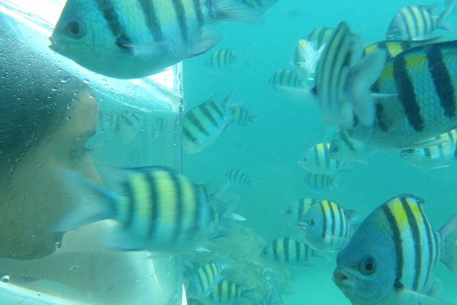 Half-Day Trip to Koh Hey: Snorkeling & Relaxation - The Practicalities: Transportation, Timing, and Group Size
