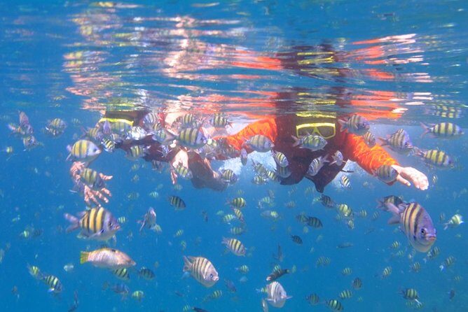 Half-Day Trip to Koh Hey: Snorkeling & Relaxation - FAQ