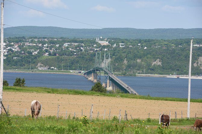 Half-Day Trip to Montmorency Falls and Ste-Anne-de-Beaupré from Quebec city - Price and Value