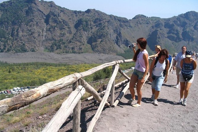 Half-Day Trip to Mt. Vesuvius From Naples - Meeting and Pickup Information