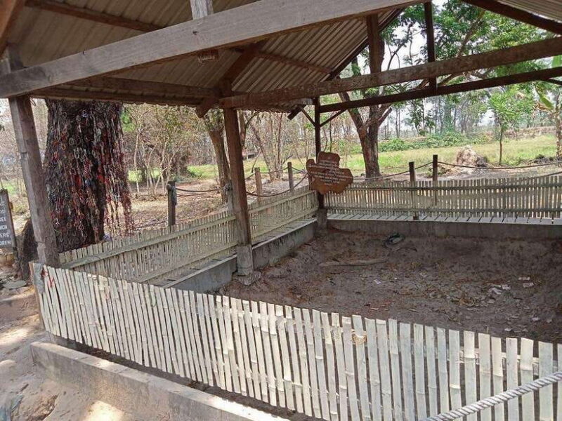 Half Day Trip to S21 Prison Genocidal Museum & Killing Field - Key Points