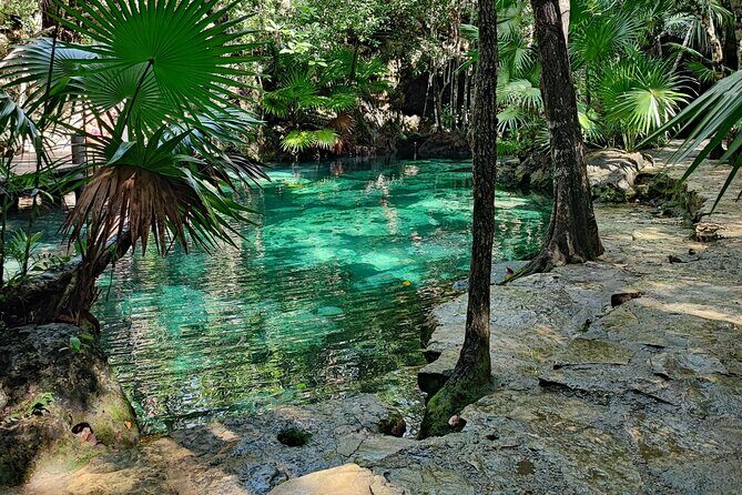 Half-day Tulum ruins and cenote swim arrive before the crowds - Who is this tour best suited for?