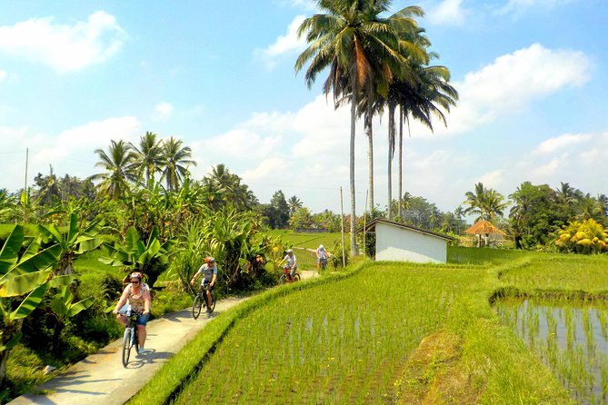 Half-Day Ubud Electric Cycling Tour to Tirta Empul Water Temple - Transportation and Group Size