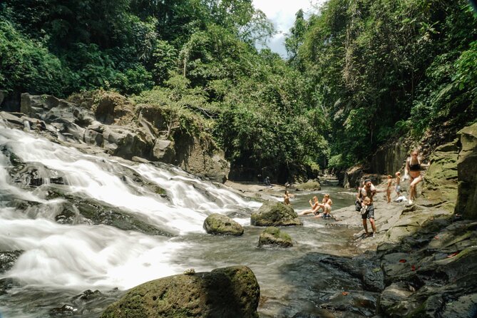 Half Day Ubud Waterfall Tour - Who Is This Tour Best For?