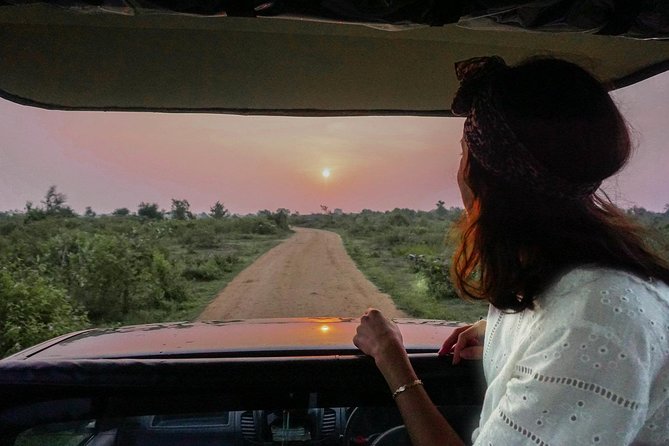 Half Day Udawalawe Safari from Kalutara (Entrance + Lunch) - Authentic Experiences and Real Traveler Feedback