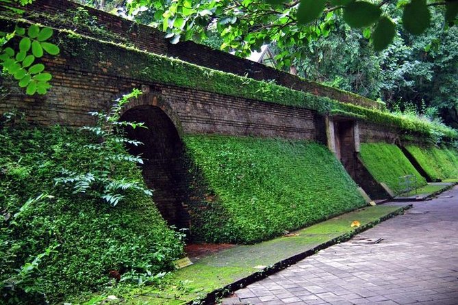Half Day Umong Temple and Monk Chanting at Doi Suthep Temple ( Private tour) - The Sum Up