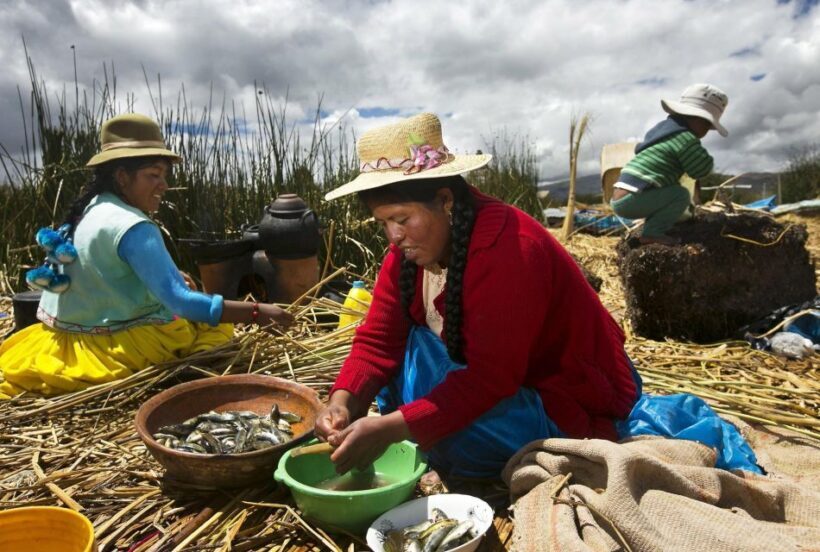 Half-Day Uros Floating Islands Tour from Puno - Exploring the Uros Floating Islands: A Practical Guide