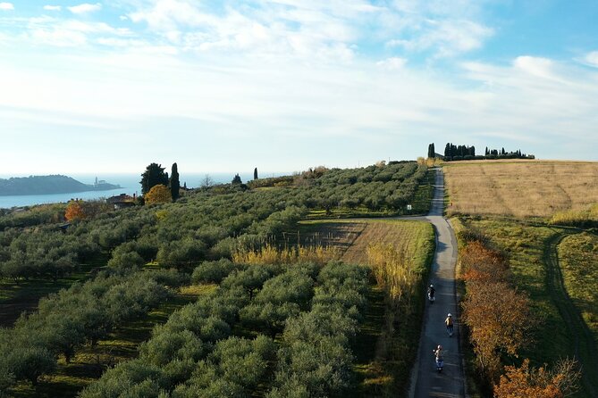 Half Day Vespa Countryside Tour and Tastings in Istria - Customer Reviews and Recommendations