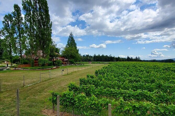Half-Day Victoria to Cowichan Valley Wine Tour with Tastings - Final Thoughts