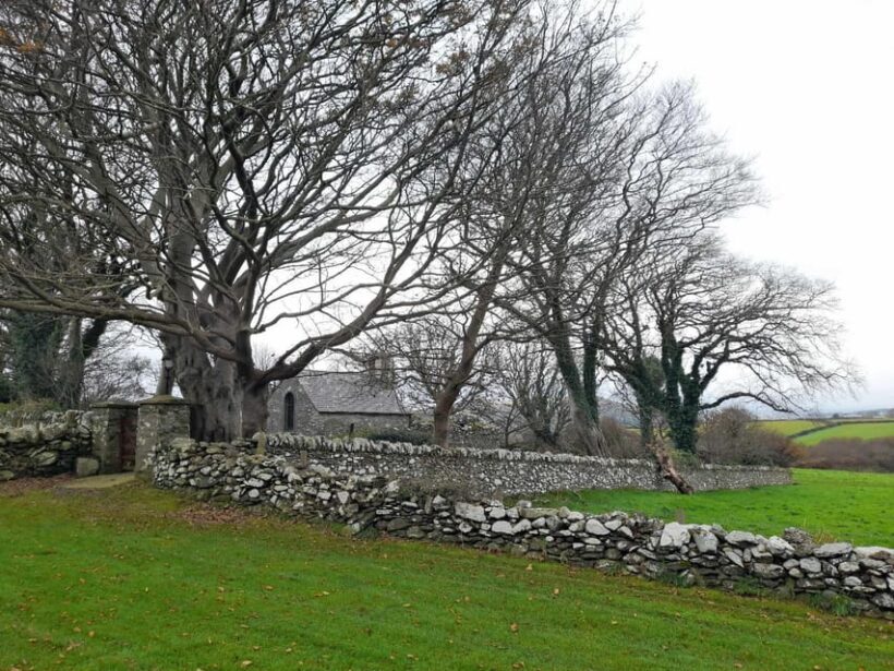 Half Day Viking and Celtic Heritage Tour - Who Will Love This Tour?