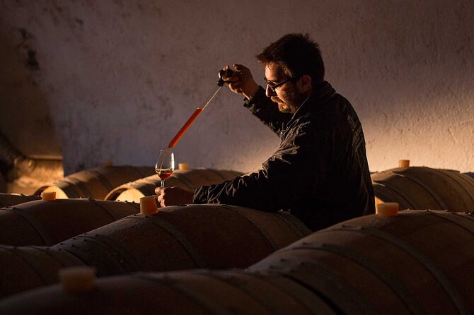 Half-Day Virtual Reality Tour and Wine Tasting - Final thoughts