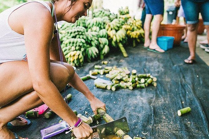 Half Day Visit Elephant Sanctuary in Samui - The Authenticity and Ethical Aspect
