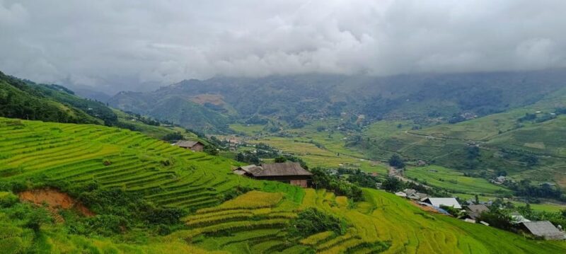 Half Day Visit Y Linh Ho,Lao Chai,Ta Van Trekking With Lunch - Key Points