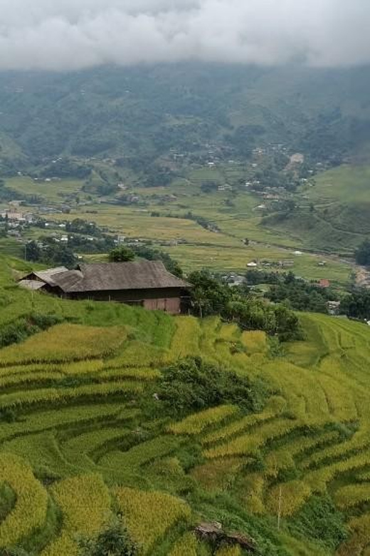 Half Day Visit Y Linh Ho,Lao Chai,Ta Van Trekking With Lunch - Detailed Breakdown of the Itinerary
