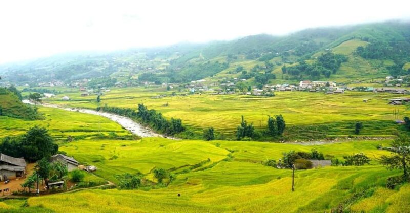 Half Day Visit Y Linh Ho,Lao Chai,Ta Van Trekking With Lunch - Who Will Love This Tour?