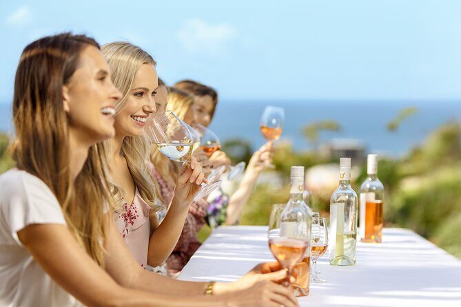 Half Day Waiheke Wine Tour - Who Is This Tour Best For?