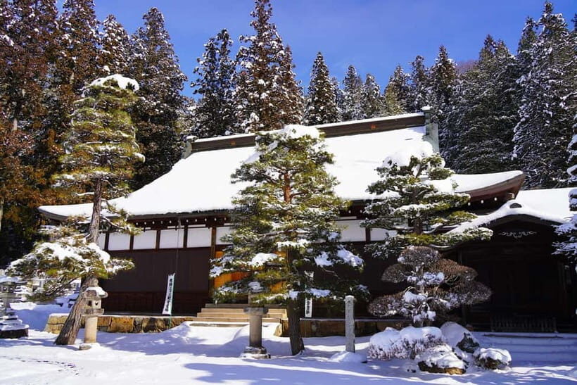 Half-Day Walking Tour: Takayama's Hidden Gems & Temple Walk - Key Points