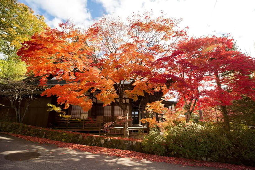 Half-Day Walking Tour: Takayama's Hidden Gems & Temple Walk - Overall Impression: Who Should Consider This?