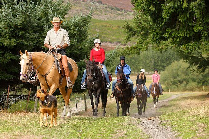 Half Day Walter Peak Horse Trek and Cruise from Queenstown - Final Thoughts