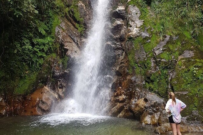 Half Day Waterfall Tour From Medellin - Key Points