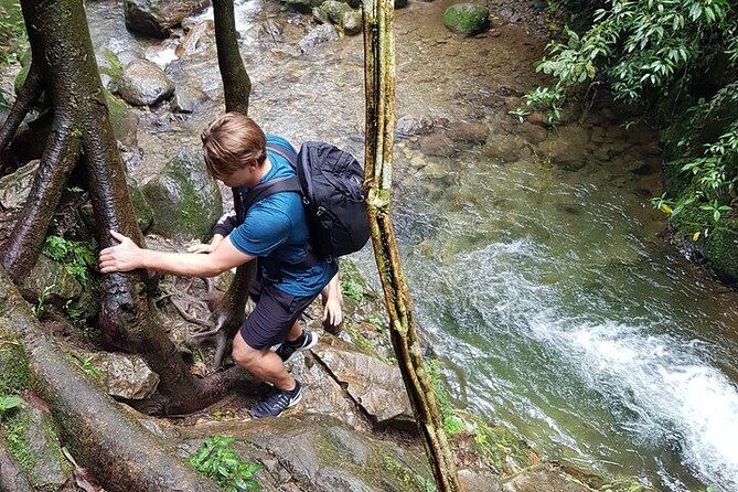 Half Day Waterfall Tour From Medellin - Getting There and Accessibility