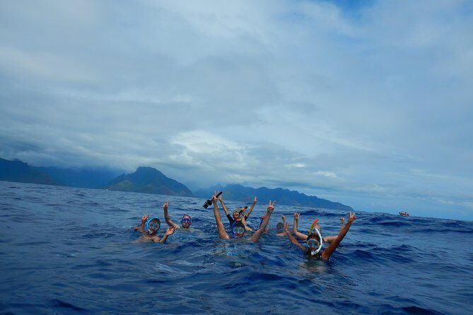 Half day whale tour 4h00 - Authentic Feedback: What Travelers Say
