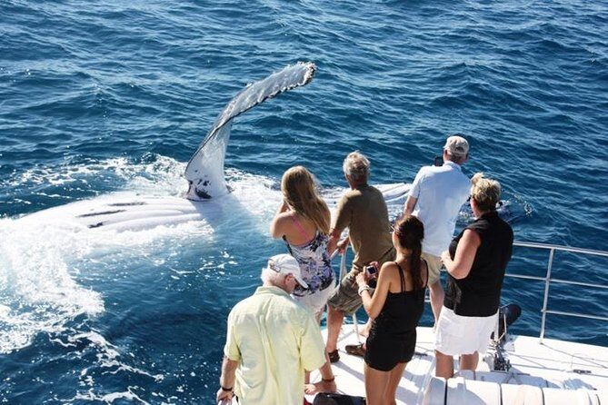 Half-Day Whale Watching Sunset Cruise from Broome - Key Points